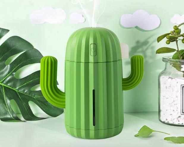 Cactus humidifier | PLANTS HAPPEN
